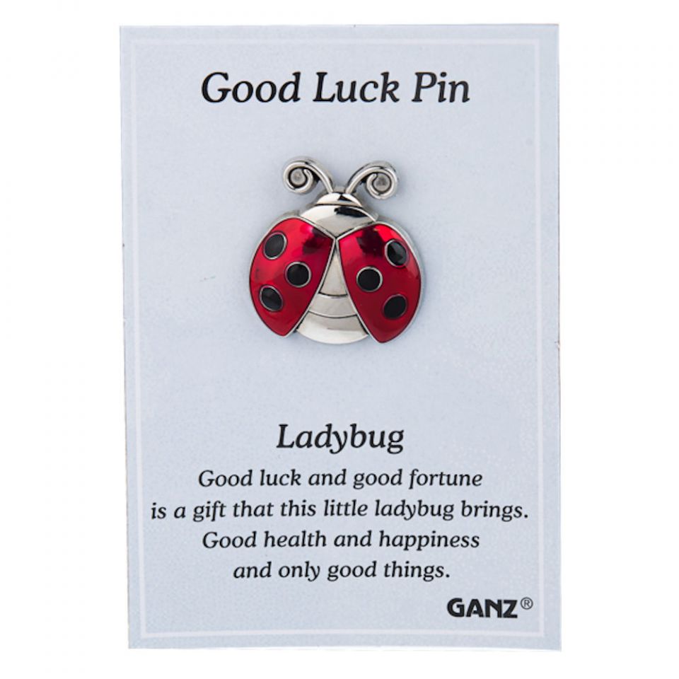 Ladybug Good Luck Pin – The Cathedral Gift Shop