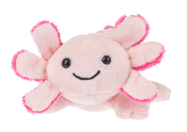 Li'l Axton Axolotl Plush Toy – The Cathedral Gift Shop