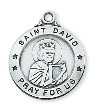 St. David Sterling Silver Medal on 20" Chain – The Cathedral Gift Shop